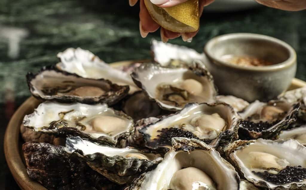 Mille Vini Pasta & Wine Bar: 50% off the first table of the night with ...