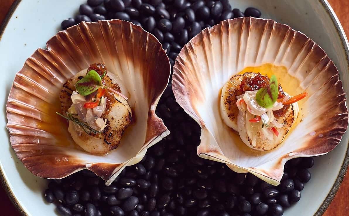 Bar Conte - Clarence Street: 50% off the first table of the night with ...